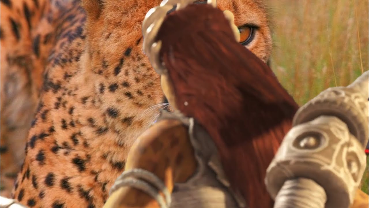 Cheetah Injustice 2 Ranked Sets 8 - YouTube