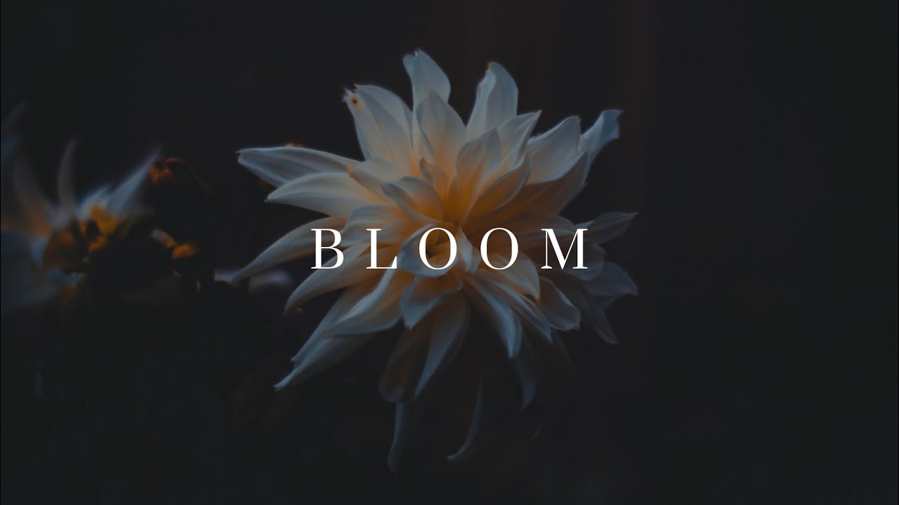 Bloom | Canon EOS M (Cinematic) - YouTube