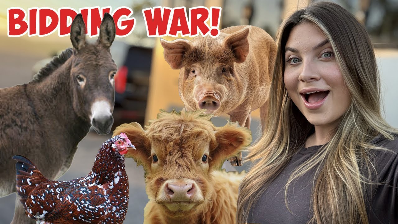 I WON AN ANIMAL at the Livestock AUCTION (we got in a bidding war ...