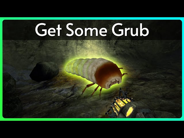 Half Life 2 Antlion Grub