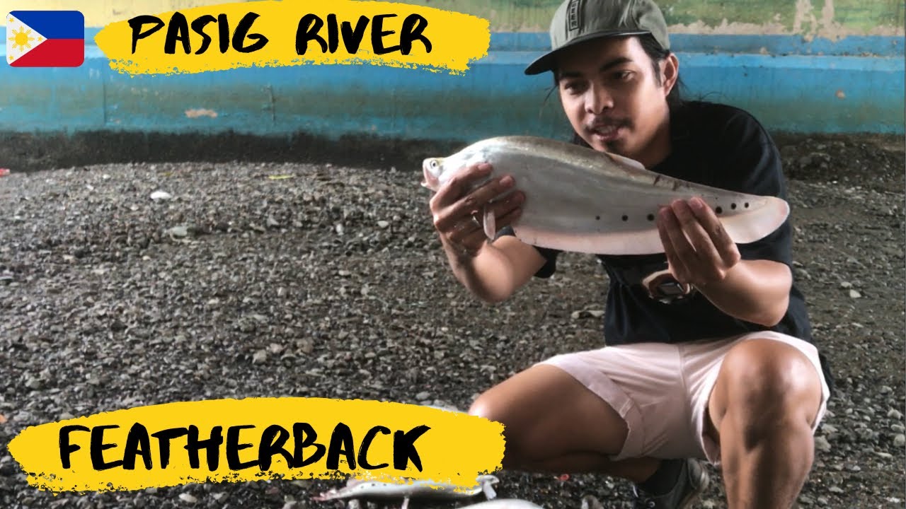 I Hooked a Massive Invasive Knifefish | Fishing in the Philippines ...