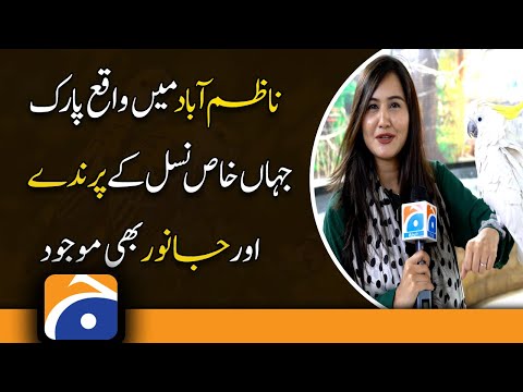 TWEC - The Wildlife Experience Center in Karachi