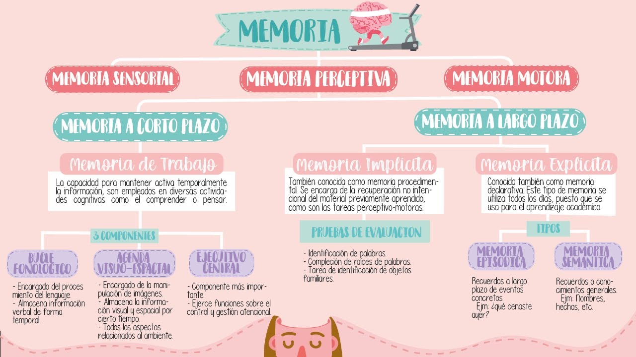 MEMORIA DE TRABAJO, IMPLÍCITA Y EXPLÍCITA - YouTube