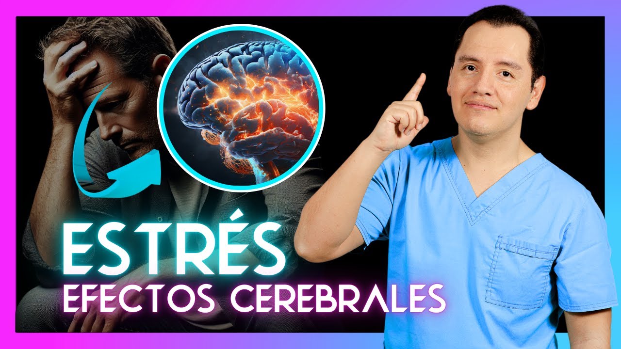 ESTRES CRONICO 😱 | Descubre como AFECTA tu CEREBRO 🧠 | Neurociencia 🔬 ...