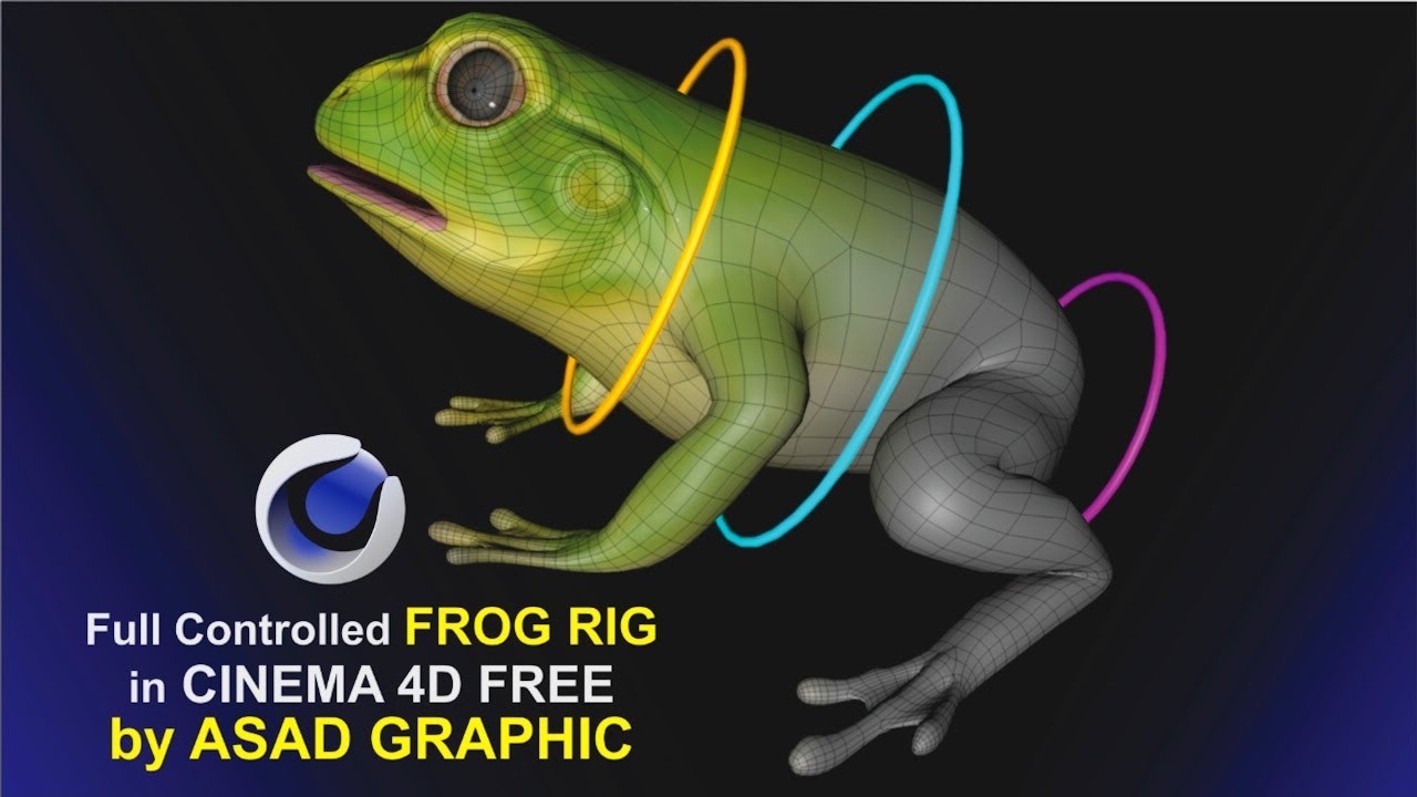 Frog Rig Leg setup + Naming Tool Frog Rig Part 01 - YouTube