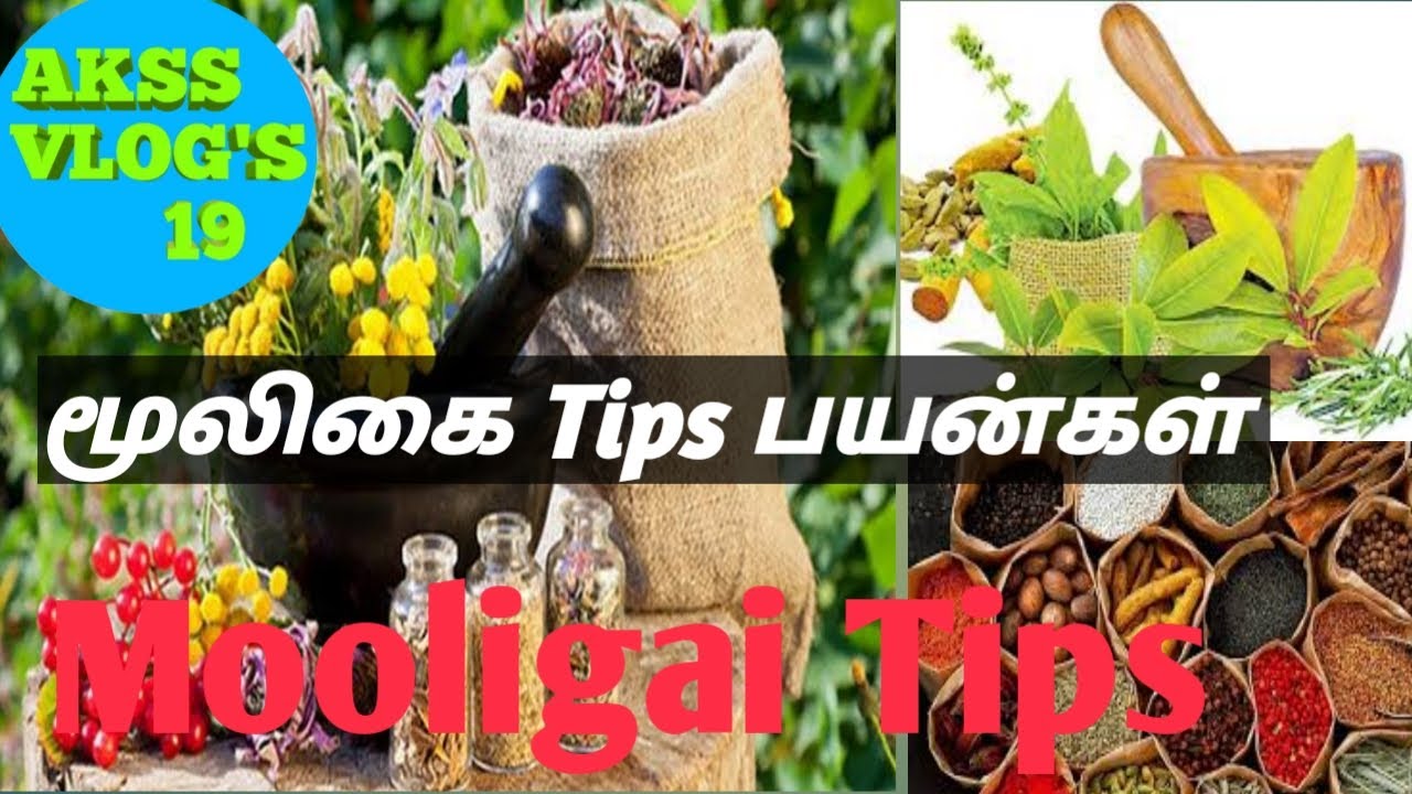 தமிழ் மூலிகை Tips, MEDI TIPS, - YouTube