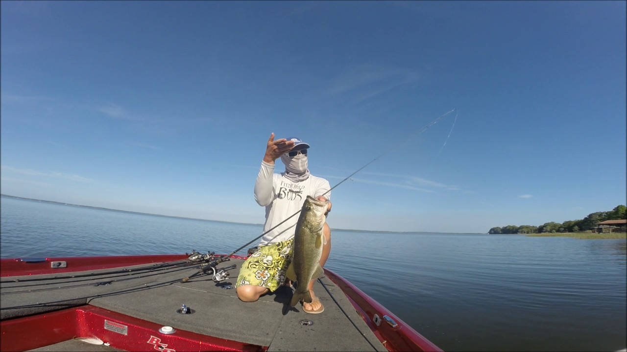 skipping docks - YouTube
