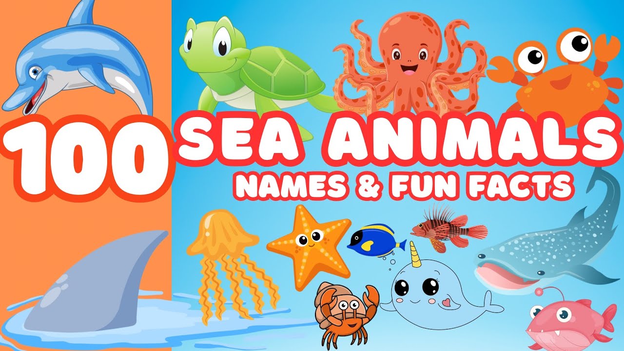 Learn 100 SEA ANIMAL Names & Fun Facts | Educational Video for Kids ...