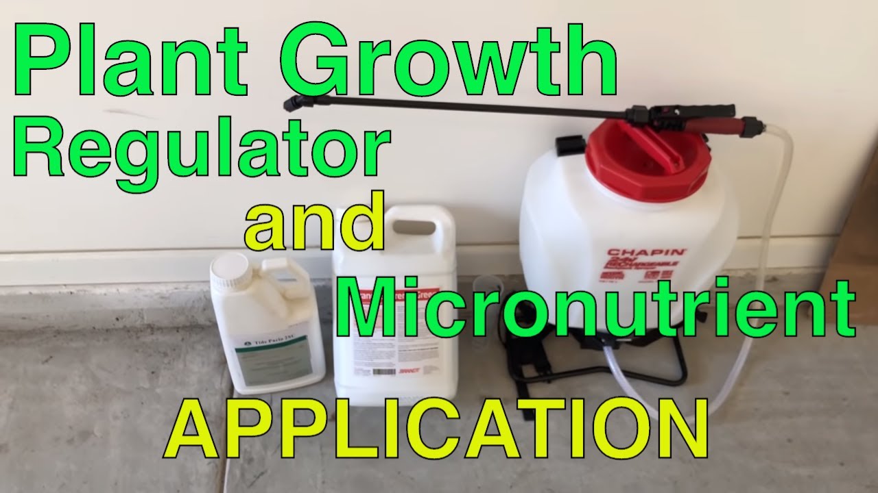 PLANT GROWTH REGULATOR (PGR) and Lawn MICRONUTRIENT APPLICATION - YouTube