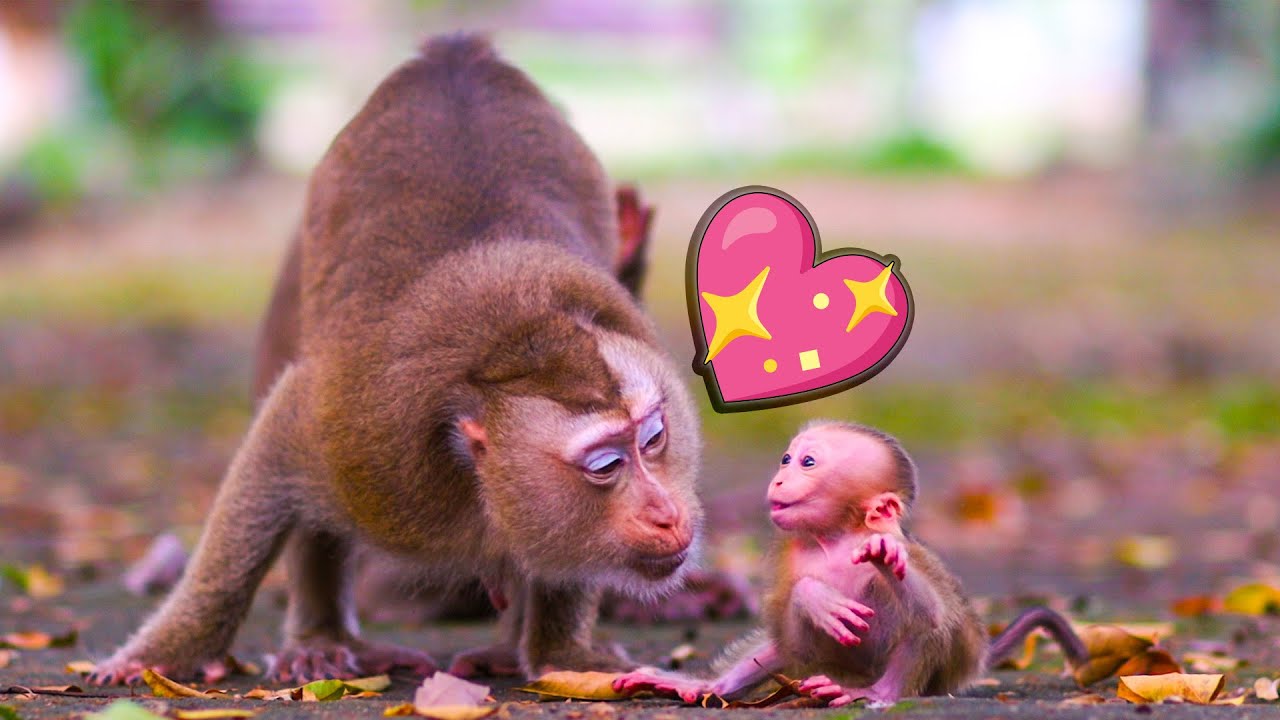 Heartw.arming B.onding Time Sarika & Baby Sarina’s Cute Interaction ...