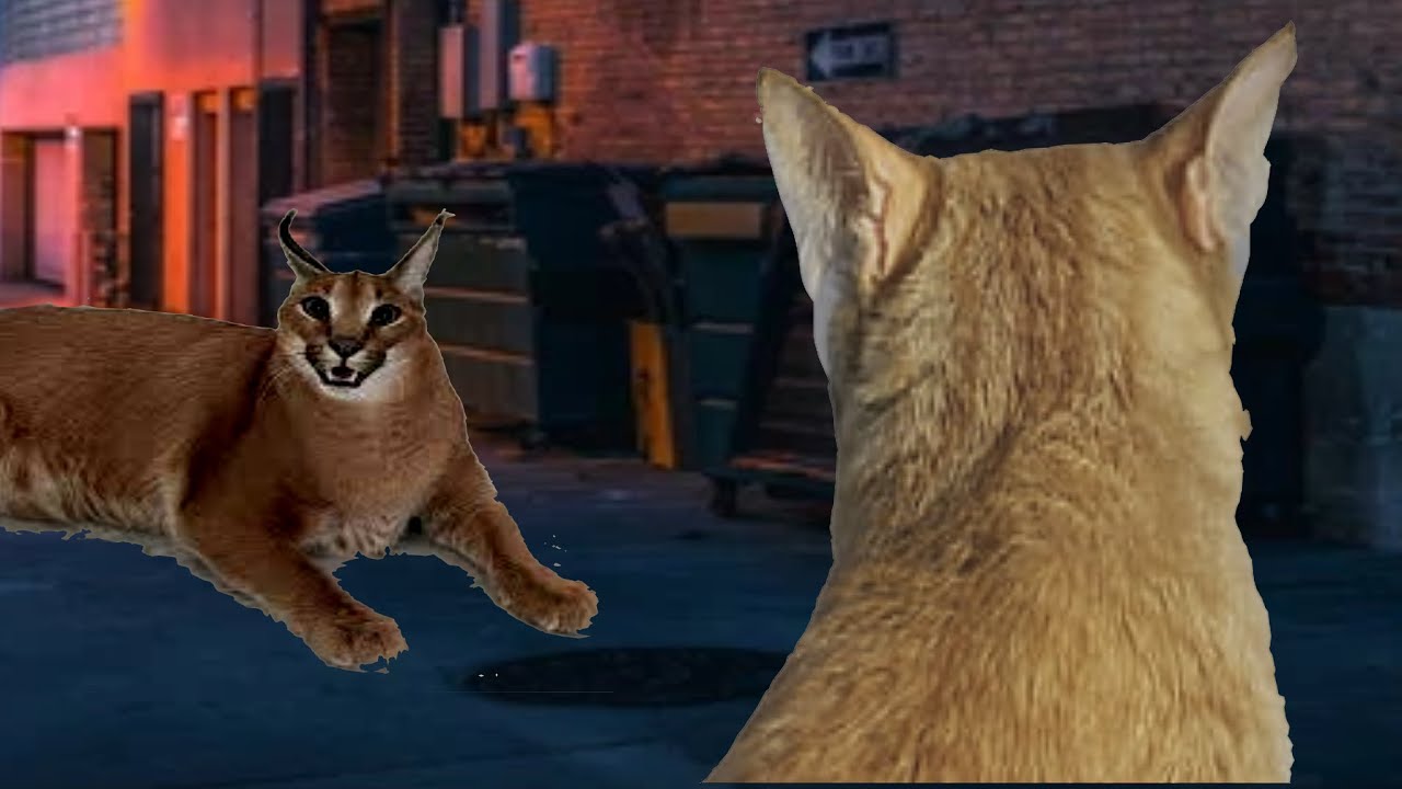 ramirez vs floppa - YouTube