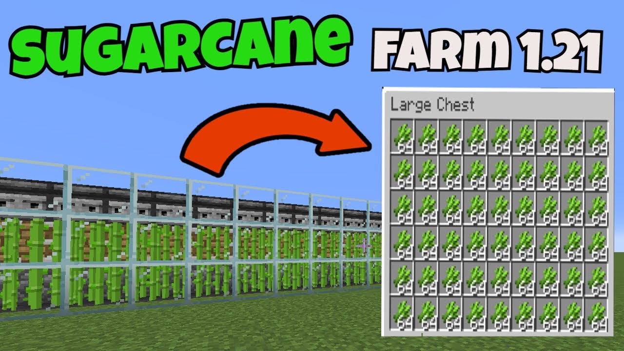 How to Make EASIEST Automatic Sugar Cane Farm Minecraft (Update 1.21 ...