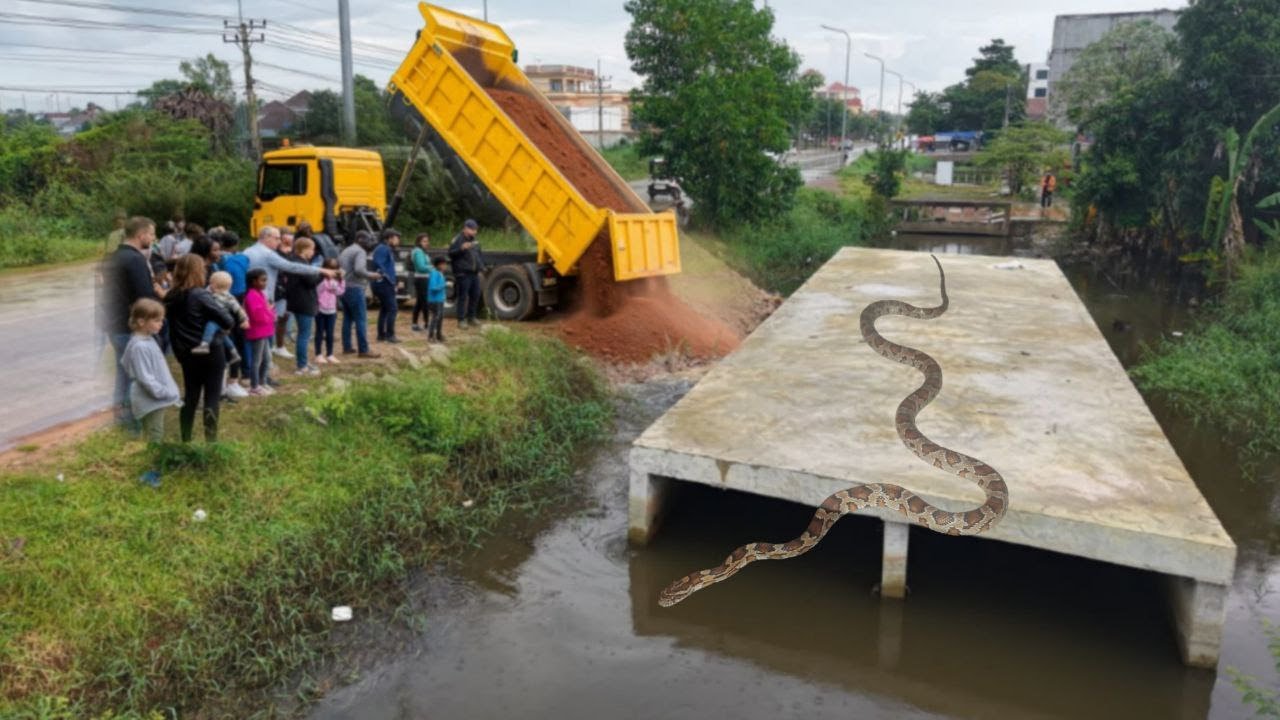 Wonderful Activity Construction Bury Box Culvert by Mini Dozer Push ...