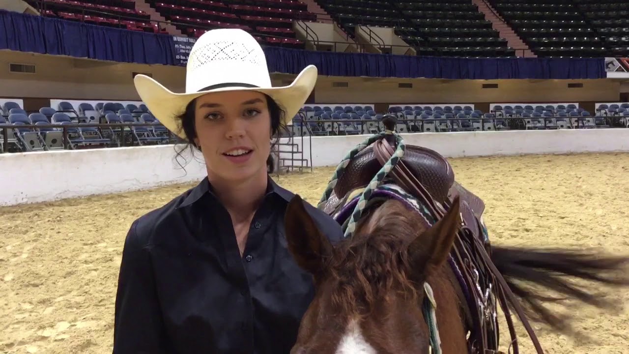 Champion Talks with Ali Good: 2019 NCHA Summer Spectacular Derby ...