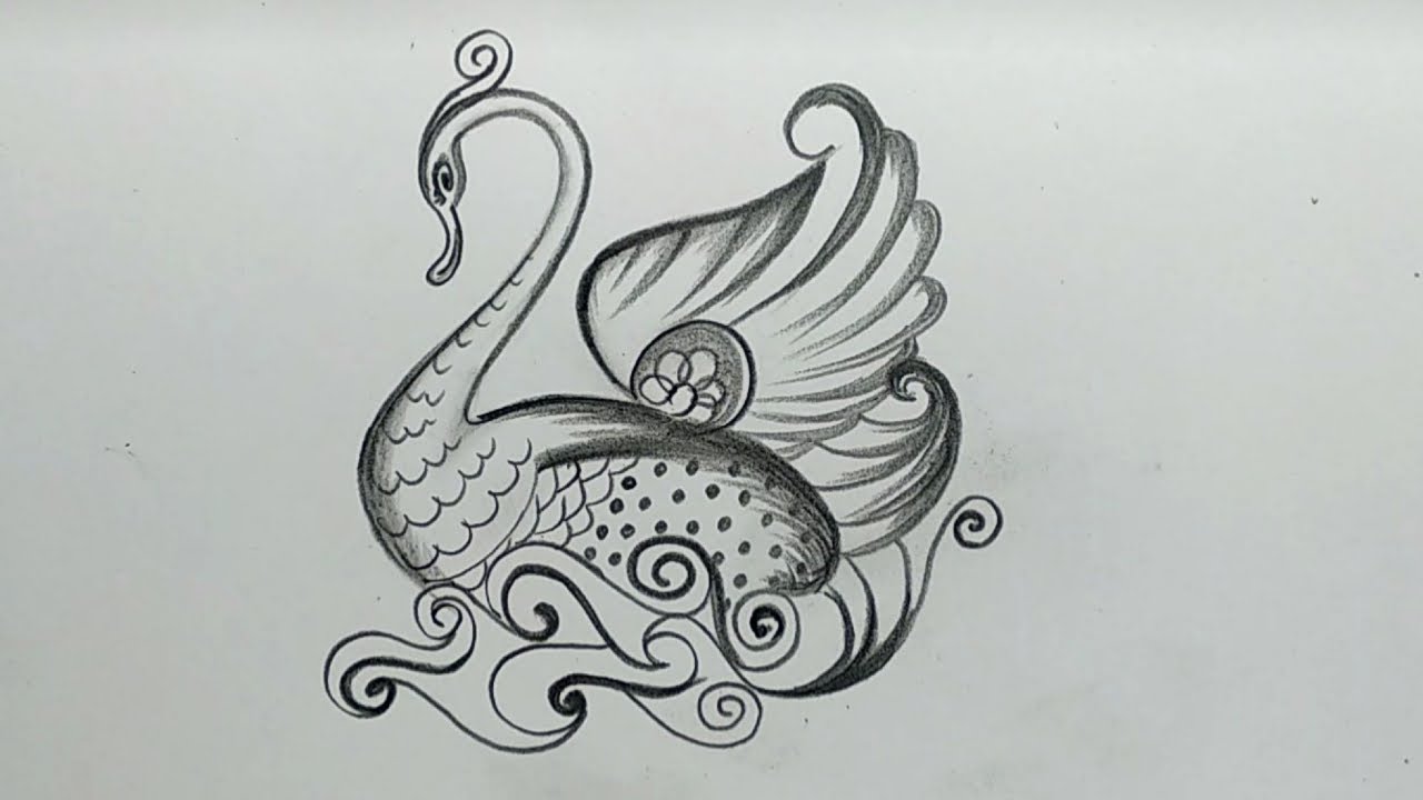 Swan Pencil Drawing