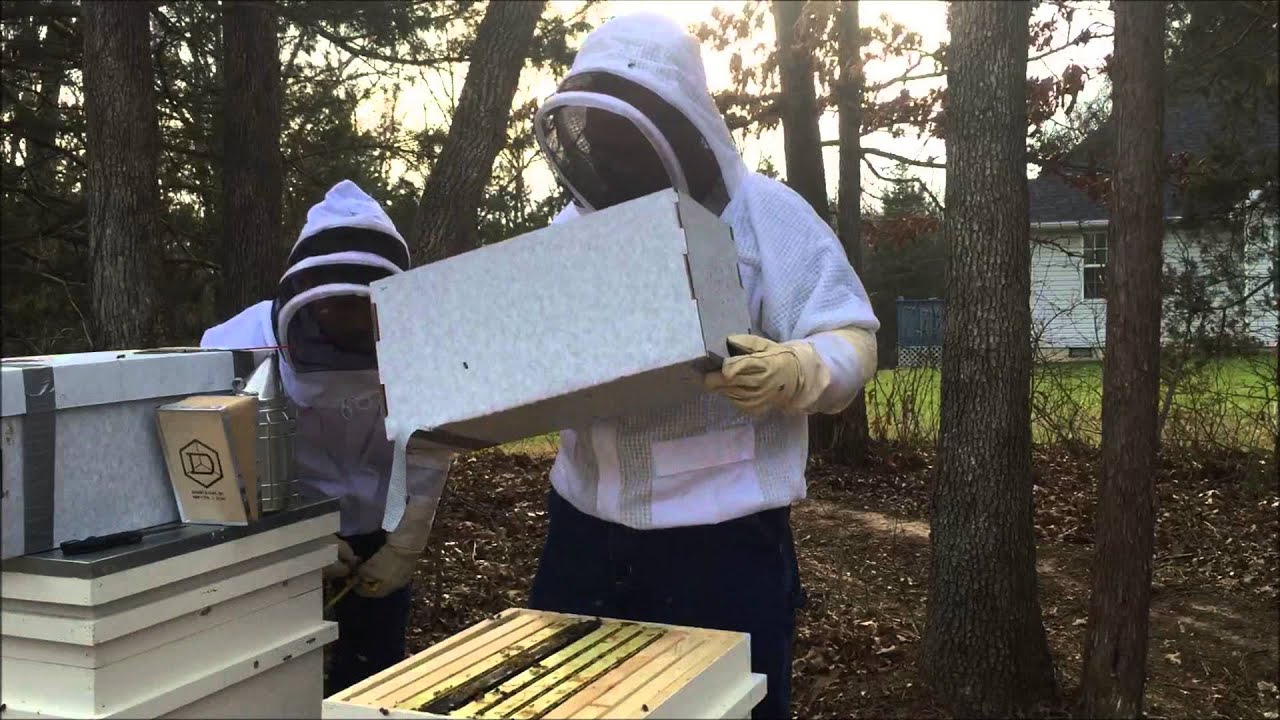 Father and Son Beekeeping Adventure Episode 3 Installing the bees - YouTube