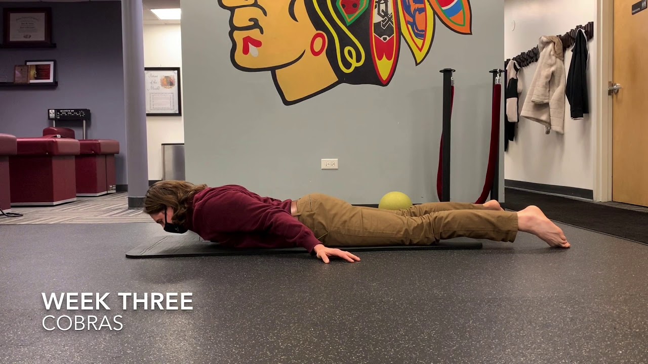 Prone Lumbar Extension (Cobras) - YouTube
