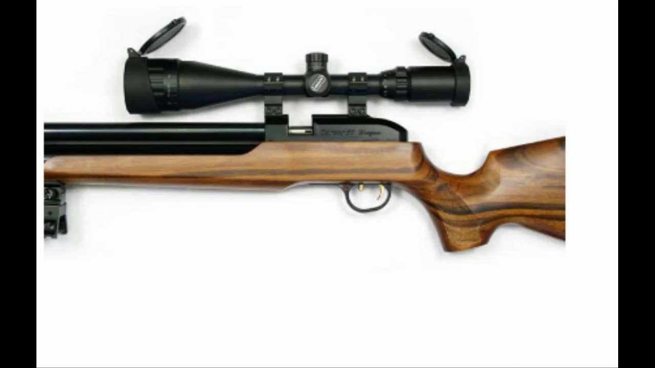 Sam Yang Big Bore 44 909S AIRGUN - YouTube
