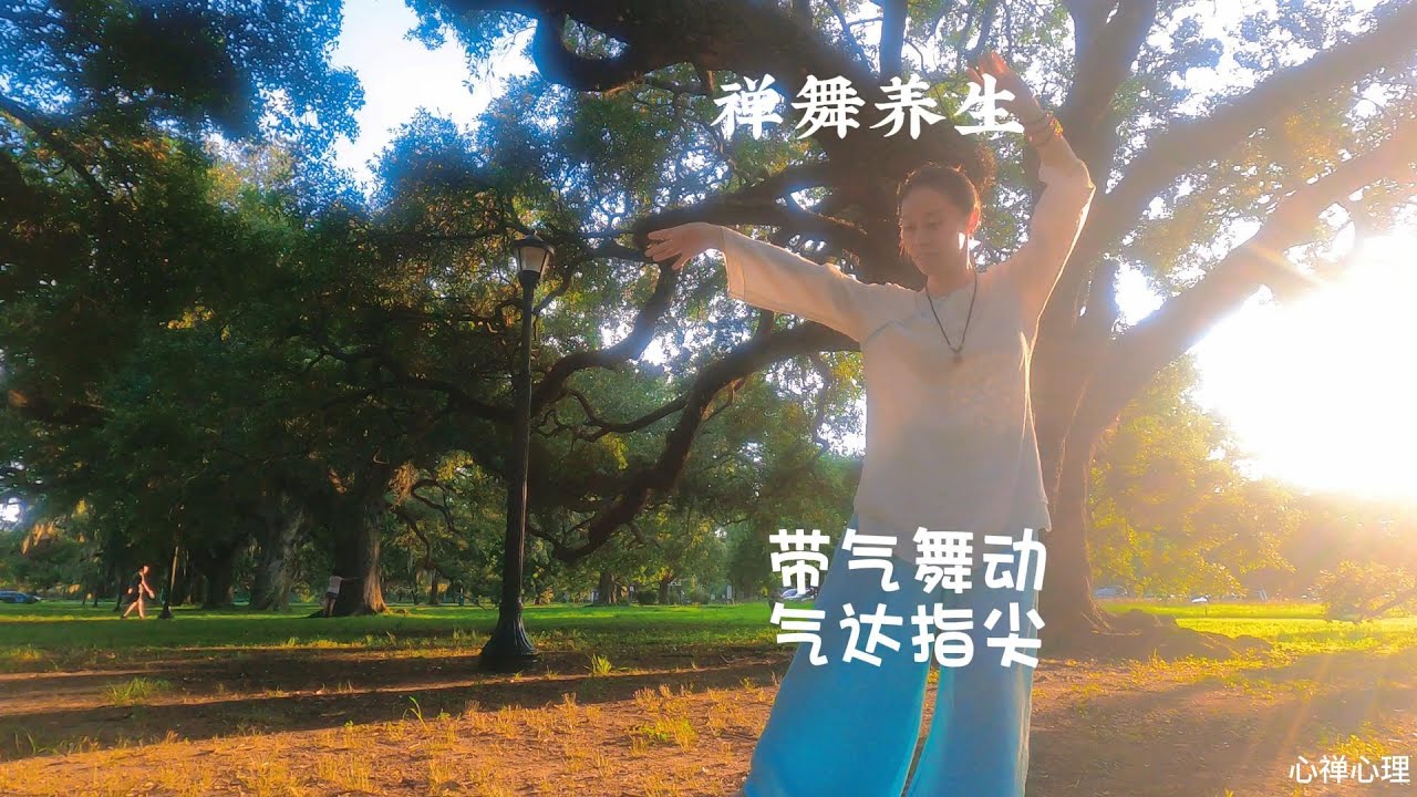 禅舞《传说》带气舞动，气达指尖。 Zen Dance SPA: Dance follow Chi to the fingertips ...