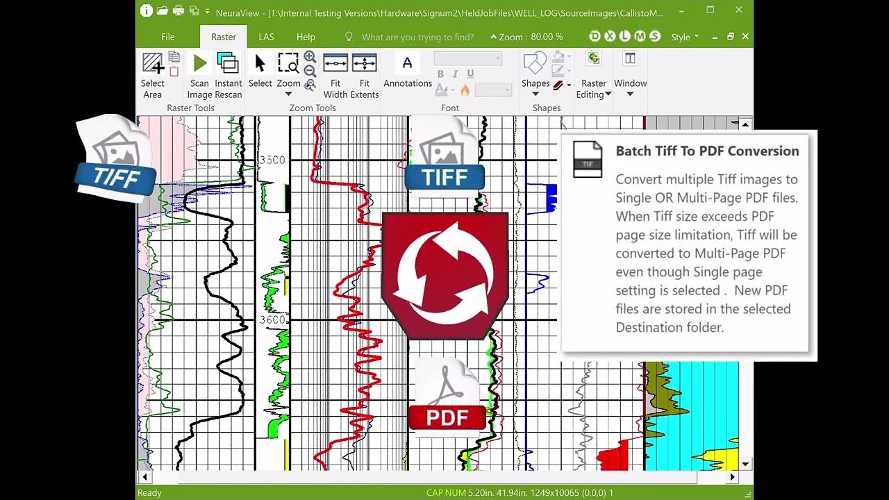 NeuraView Batch File Conversion - YouTube