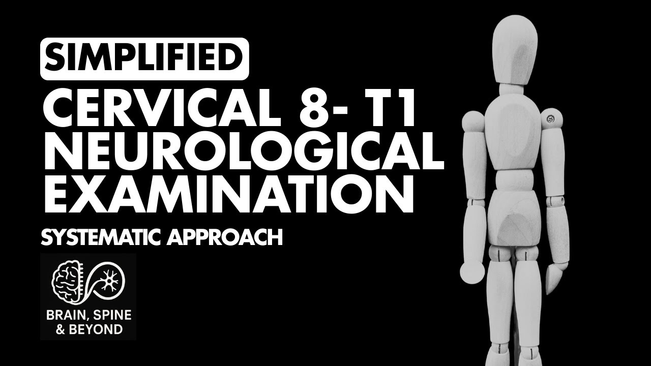 How to Examine C8 T1 Nerve Roots? Neurological Examination Simplified ...