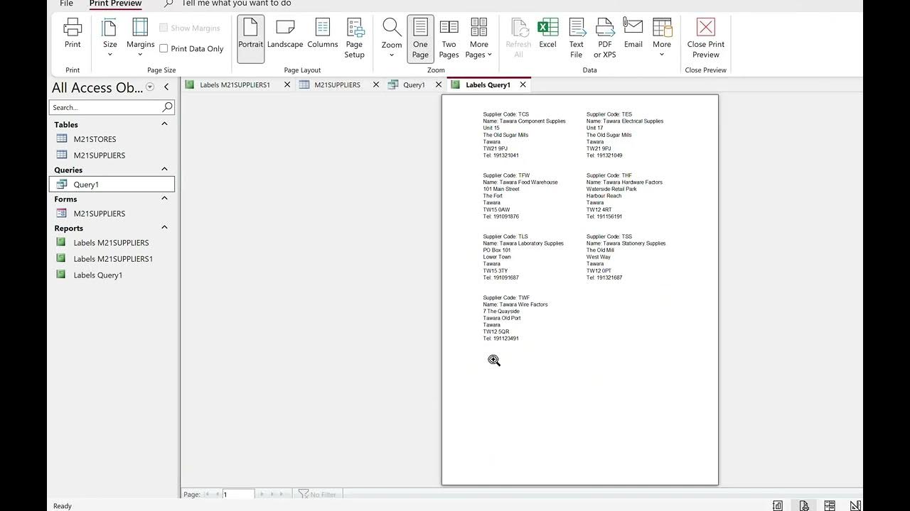 IGCSE ICT 0417, Paper 2 Labels in Access - YouTube