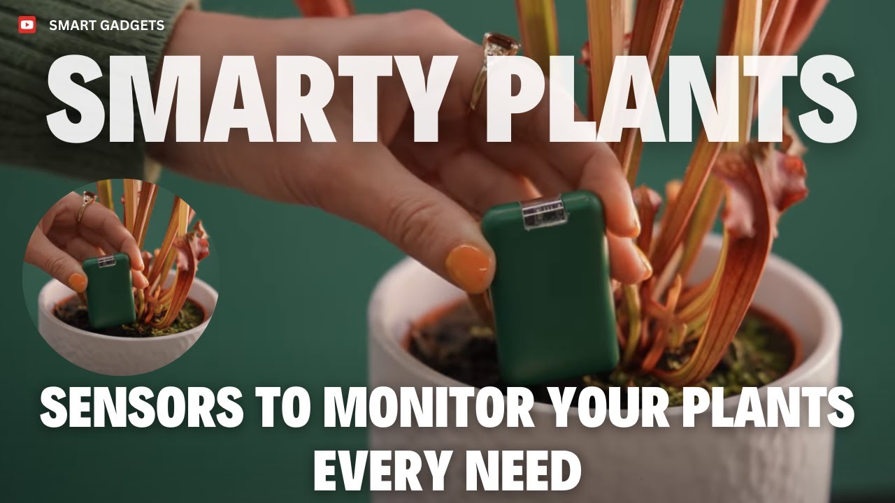 Discover SmartyPlants: The Future of Plant Monitoring - YouTube