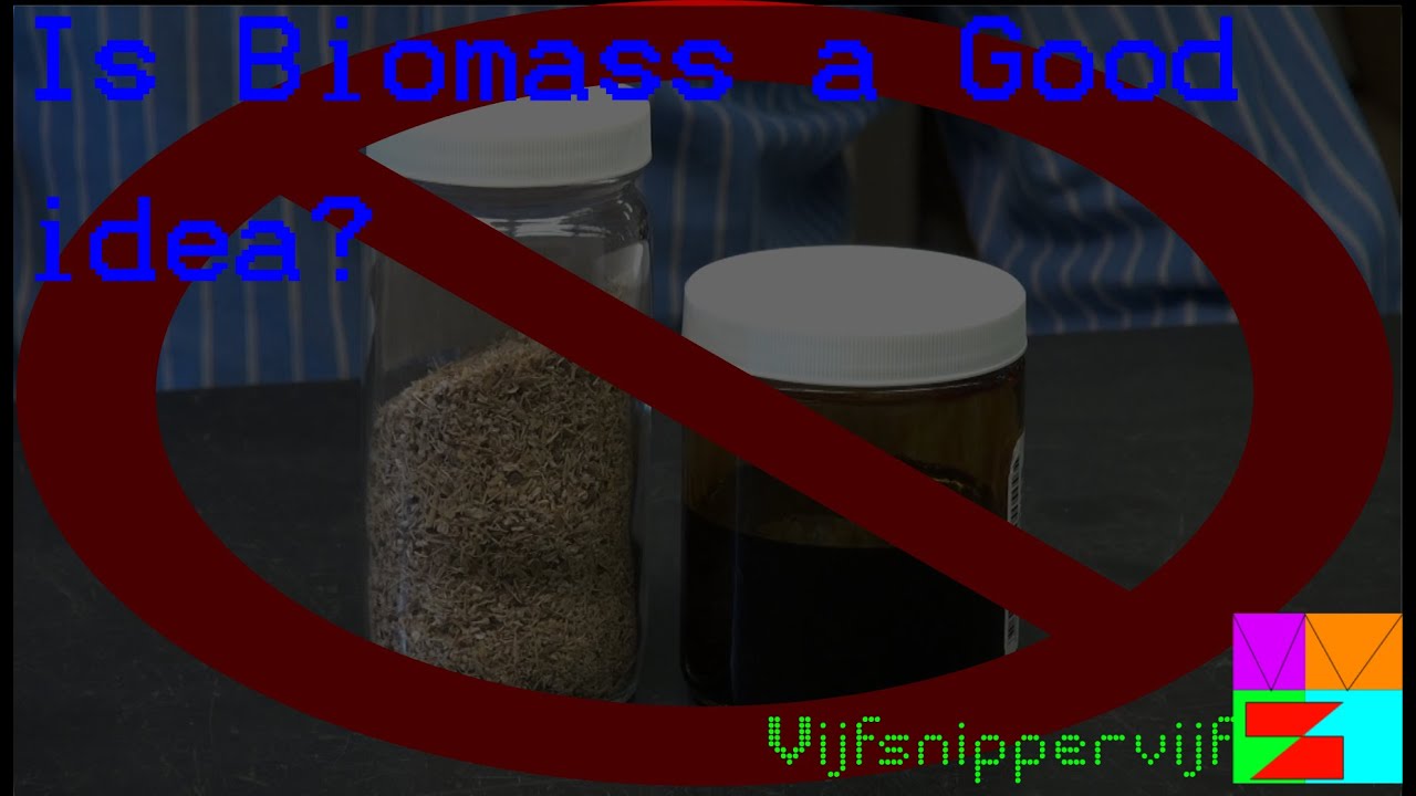 Is biomass a good idea? - YouTube