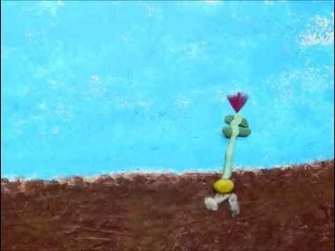 Phases of a Flower - Stop Motion Animation - YouTube