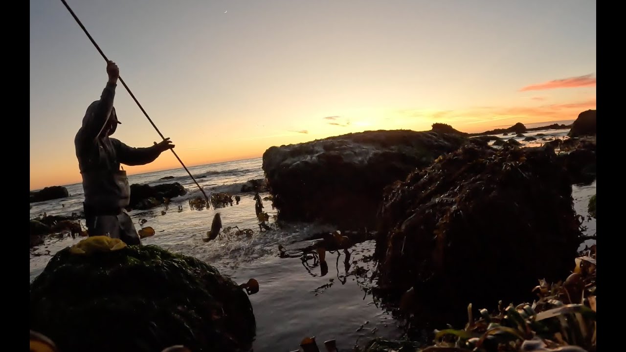Low tide poke pole central California - YouTube