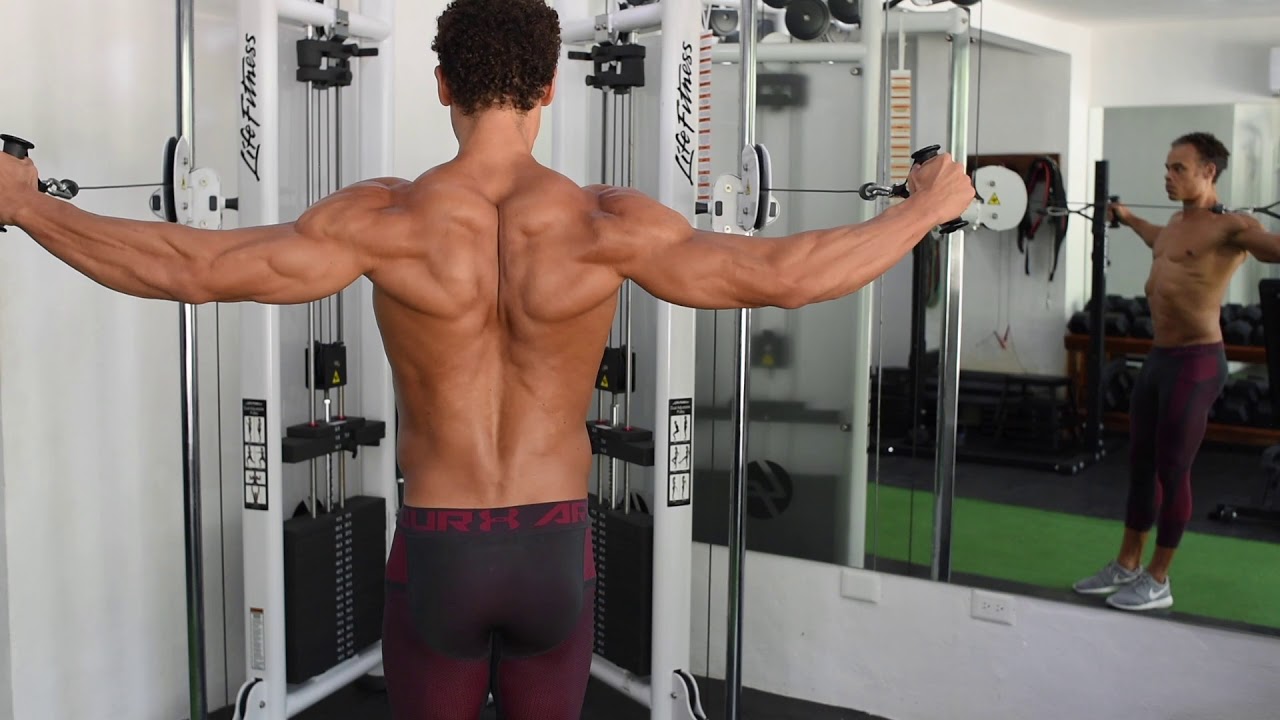 Pulley Standing Reverse Fly - YouTube