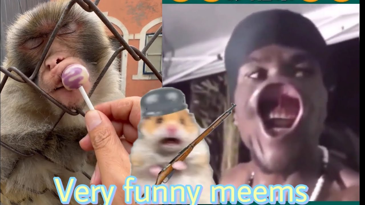 new very funny videos and meems don't miss this video - YouTube
