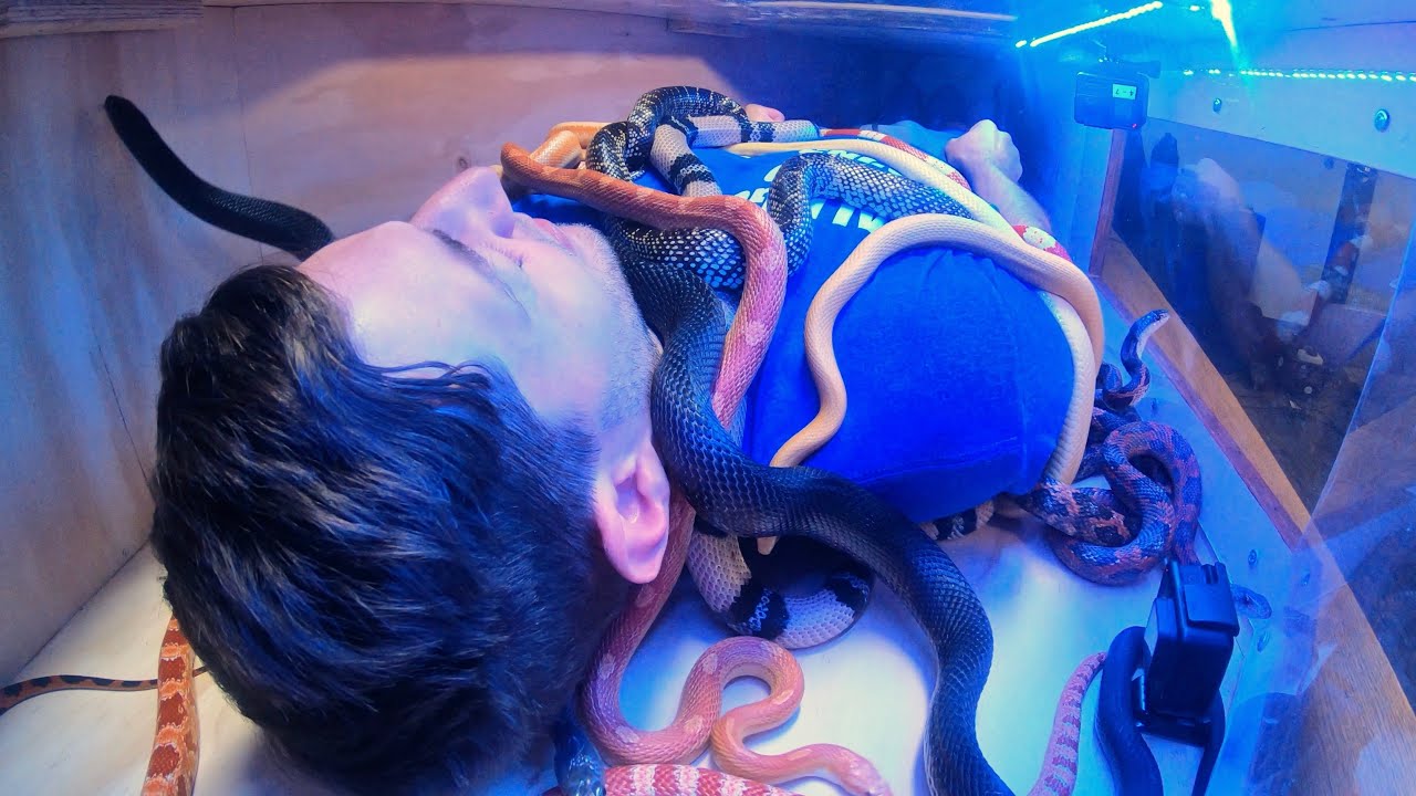 Laying in a Box of Snakes | OT 9 - YouTube