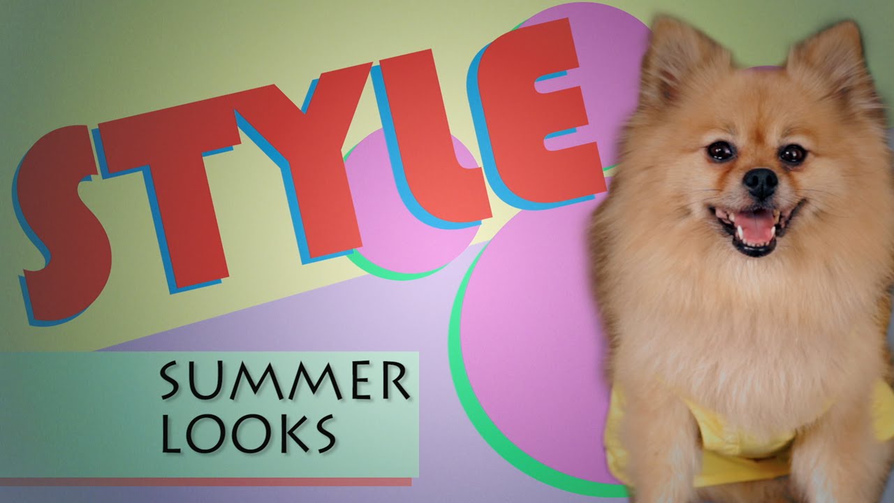 Summer Fashion - Style Paw - YouTube