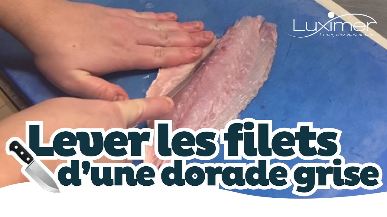 COMMENT LEVER LES FILETS D’UNE DORADE GRISE ? | Tuto facile by Luximer ...