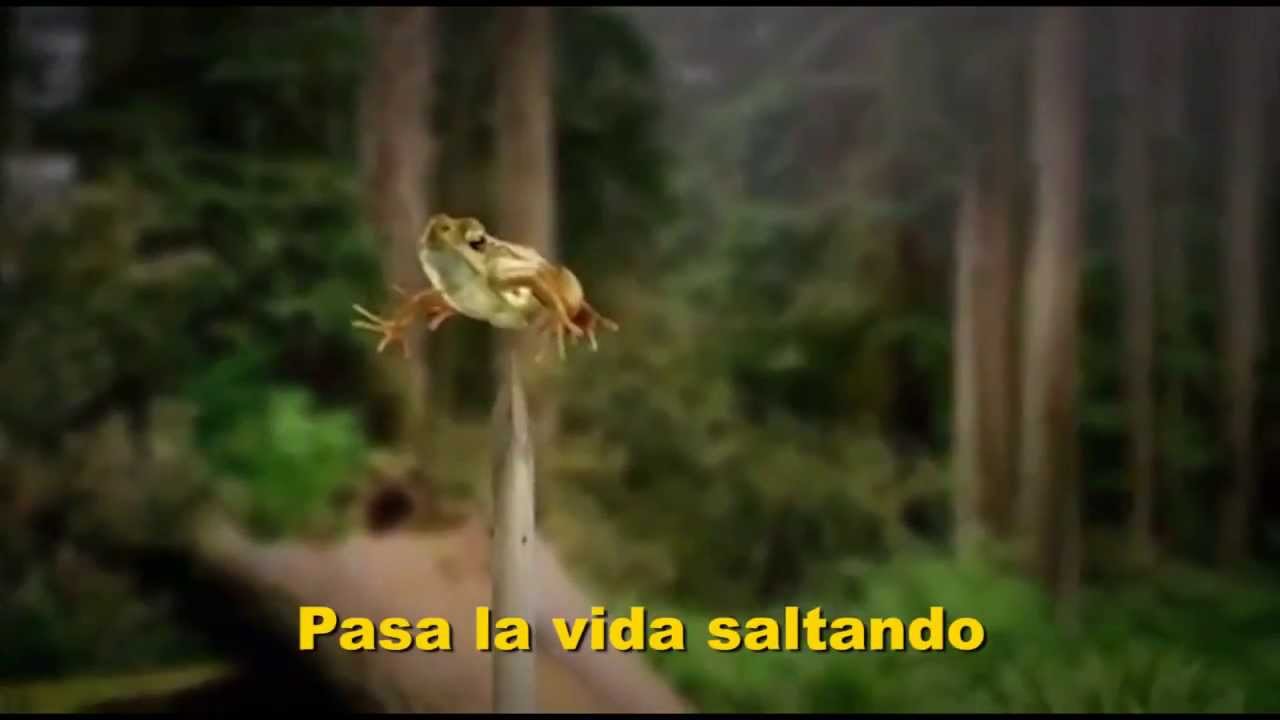 El sapo salta y se ensarta feat. Saraly (nueva version) - YouTube