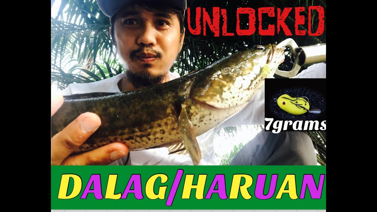 New species Unlocked(DALAG)EP4 - YouTube