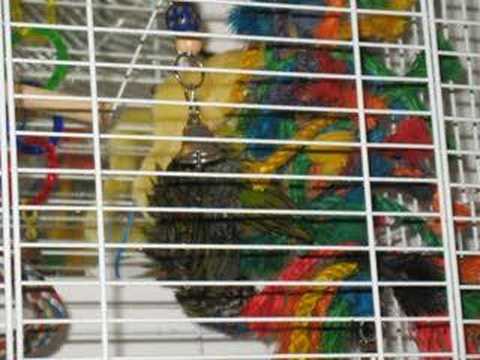 Billy Slide Show - YouTube