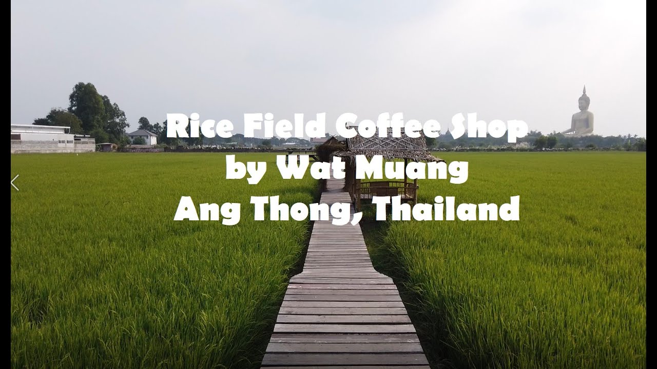 Rice Field Coffee - YouTube