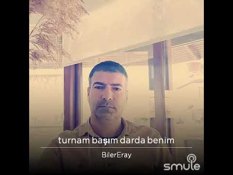 Turnam Başım Darda Benim