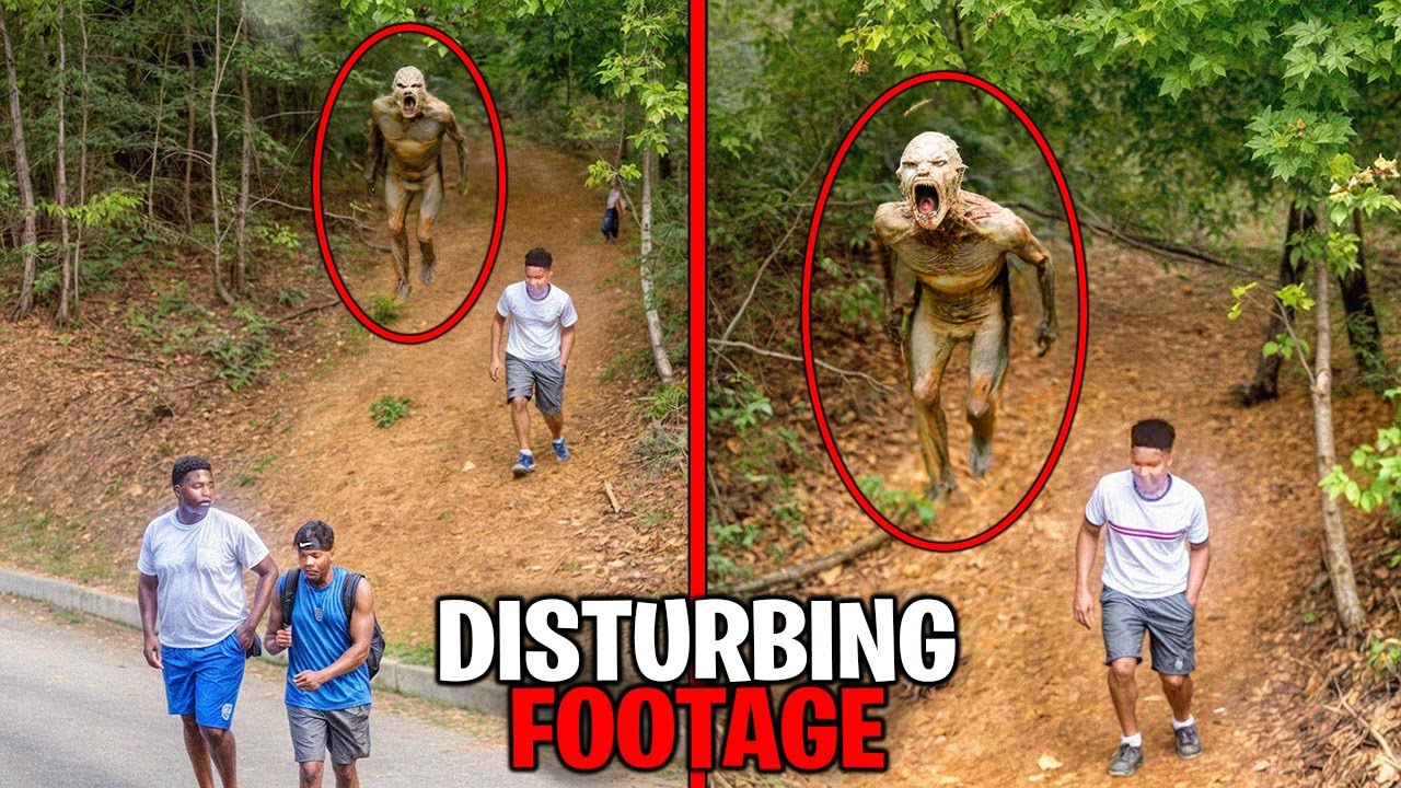 Disturbing Encounters With Scary Creatures That Will Creep You Out ...
