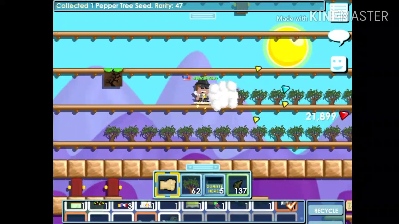 Farming my Pepper Trees | Growtopia - YouTube