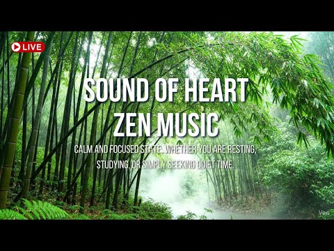 Live Stream Sound of Hearts Zen Music - Meditation Music with Piano ...