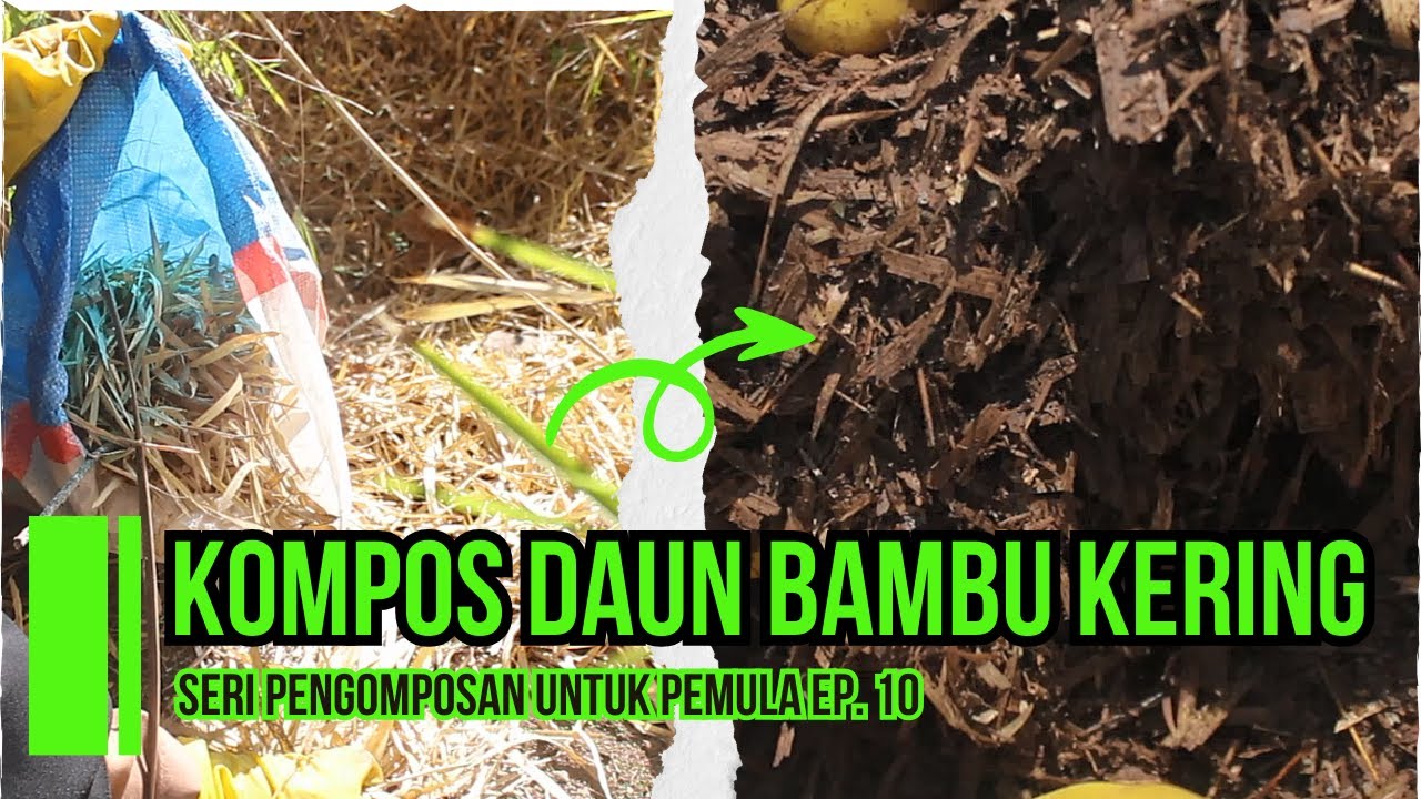 Membuat Kompos Daun Bambu Kering dan Penggunaannya | Pengomposan untuk ...