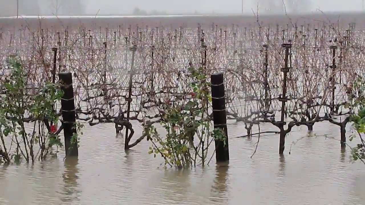 Napa County Flood 2017 | I Love The Rain, But...... - YouTube