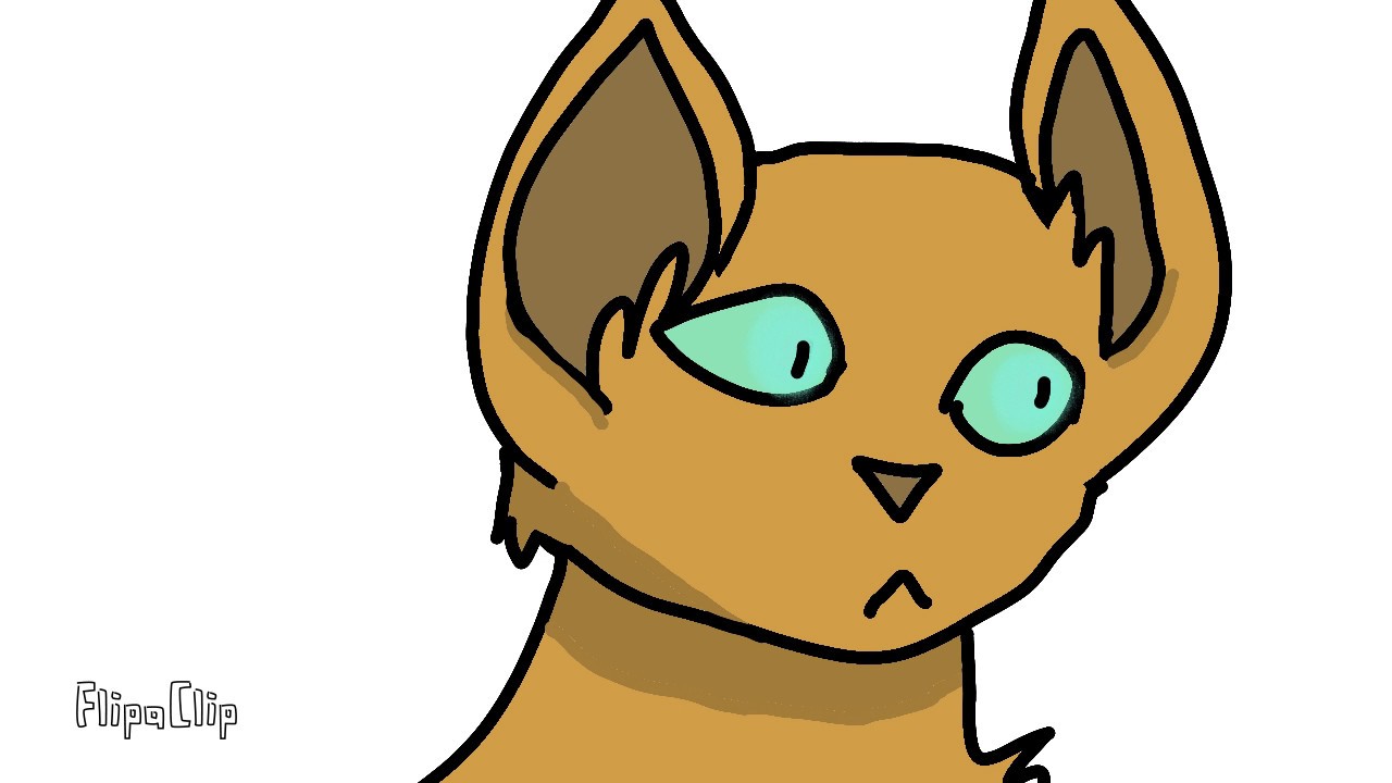 How to animate a cat meowing - YouTube