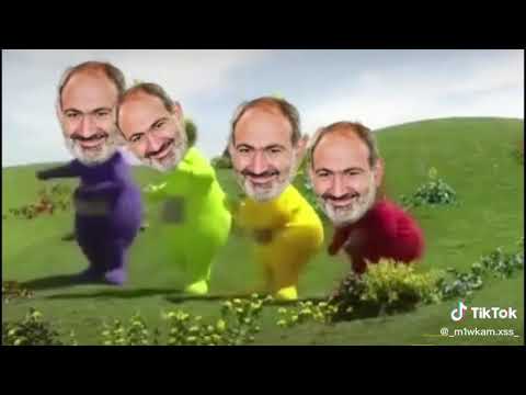 Davan yalıyan paşılyan iti