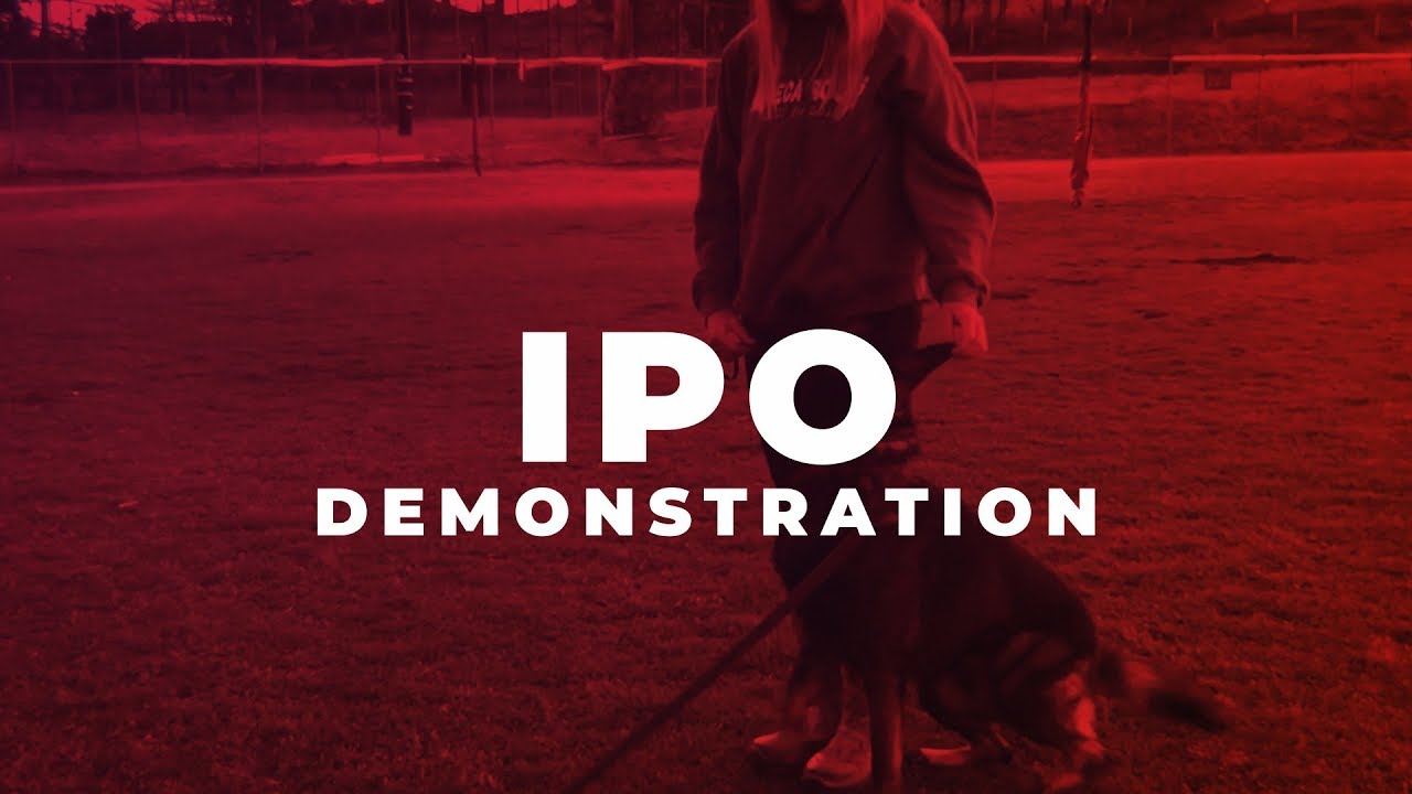 TMWD: IPO Demo Reel - YouTube