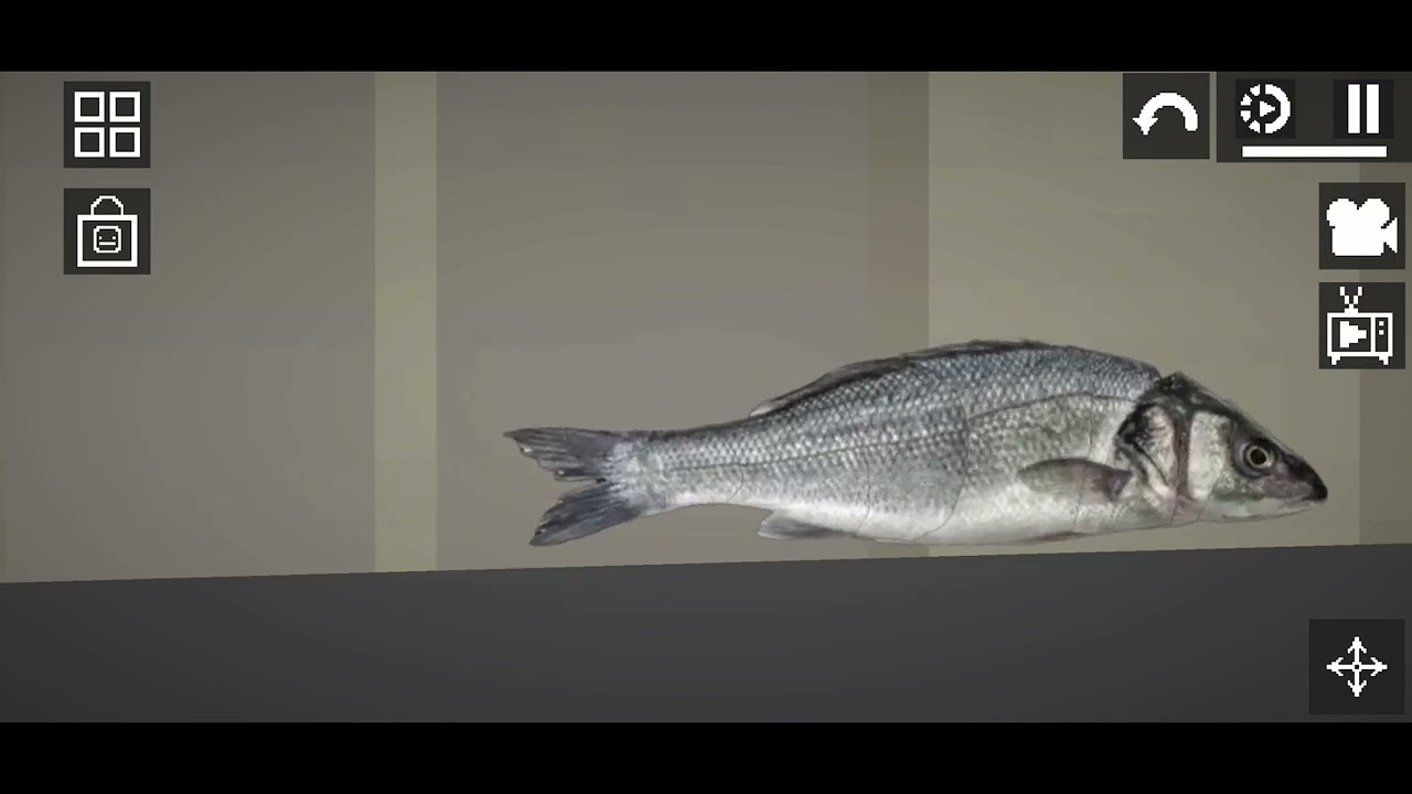 Fish mod in melon playground! (Parts by: @SKN_Vons_workshop so credits ...