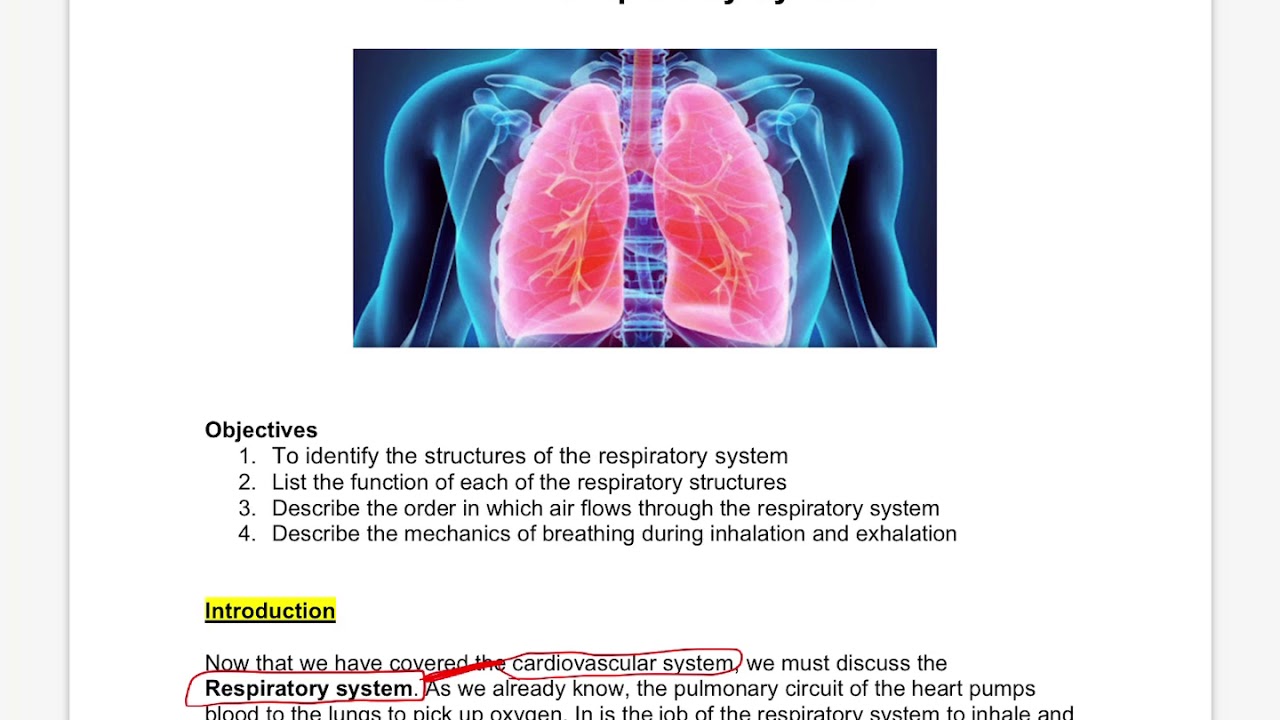 Respiratory Lab Intro - YouTube